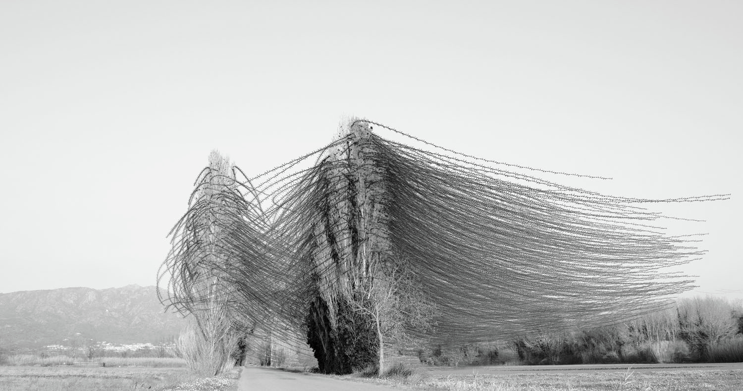 Xavi Bou - ORNITHOGRAPHY #224 – Galeria Senda