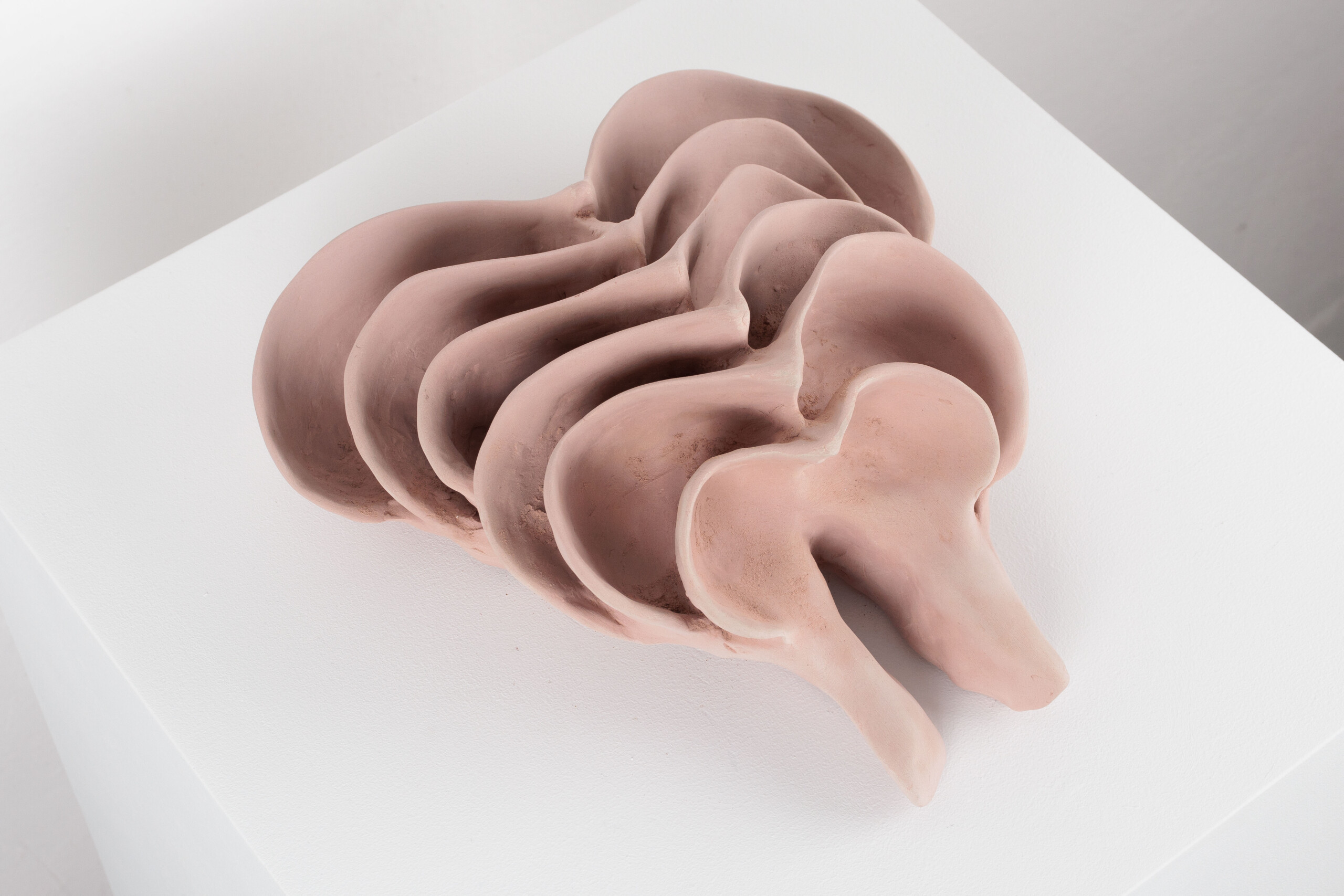 Sandra Vásquez De La Horra - Órganos Imaginarios – Galeria Senda